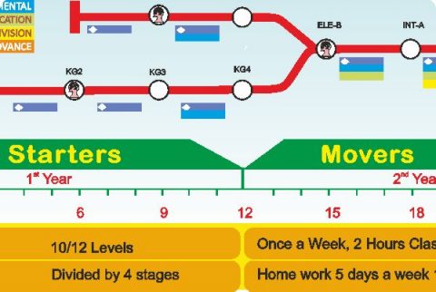 UCMAS | Abacus Mental Arithmetic